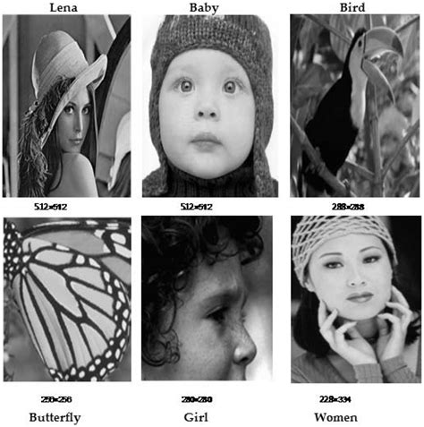 Lossless Digital Image Watermarking In Sparse Domain By Using K