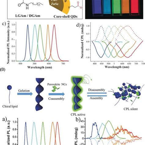 Intrinsic‐chirality‐based Circularly Polarized Luminescence Download Scientific Diagram