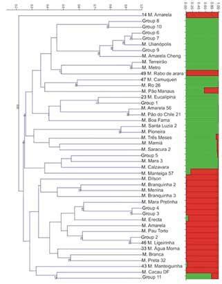 Clustering Analysis Of 46 Genotypes Identified For Sweet Cassava Download Scientific Diagram