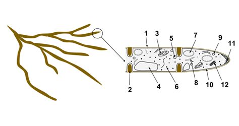 Pin On Naming Of Parts
