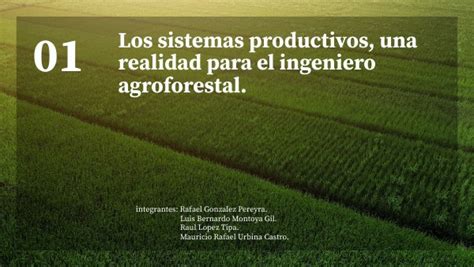 PresentaciÓn Agricultura