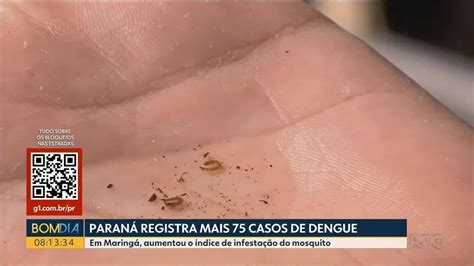 Paraná Tem 75 Novos Casos Confirmados De Dengue Paraná G1