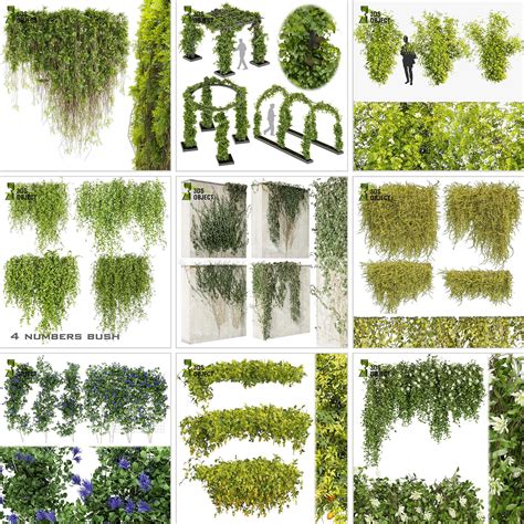 Bundle Creeping Ivy Plants 3dsobject