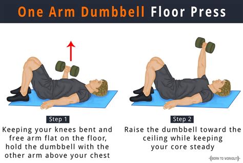 Floor Dumbbell Press Muscles Worked