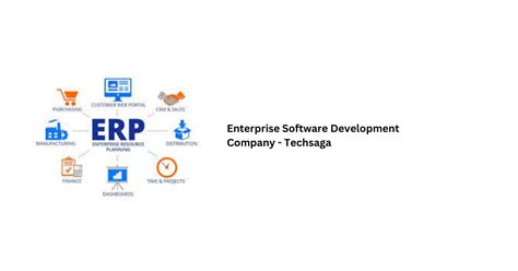 Enterprise Software Development Company Techsaga