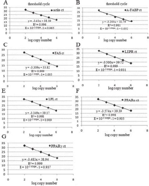 Relative Standard Curves The Standard Curves Of The Genes Used In The Download Scientific