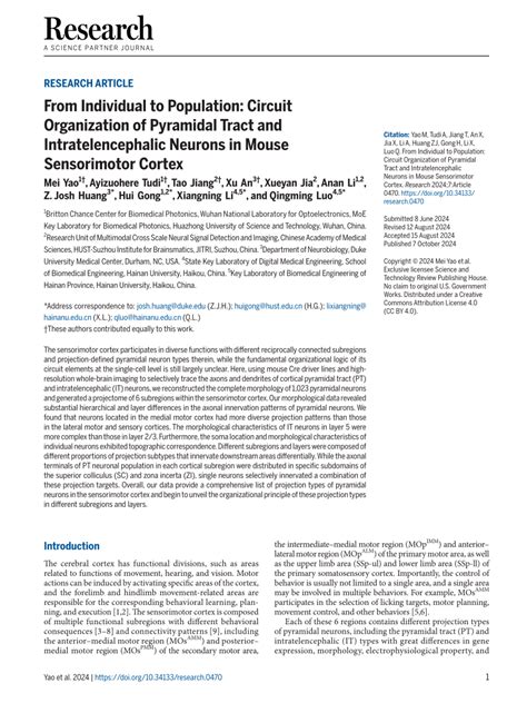 Pdf From Individual To Population Circuit Organization Of Pyramidal