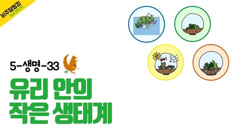 [초능력 비주얼씽킹 과학] 5 생명 33 유리 안의 작은 생태계 Youtube