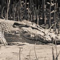 Quick Tip 2 Split Toning Techniques In Adobe Photoshop Envato Tuts