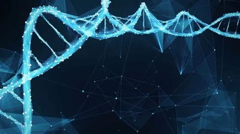 Motion Background Digital Polygon Plexus Stock Video Pond