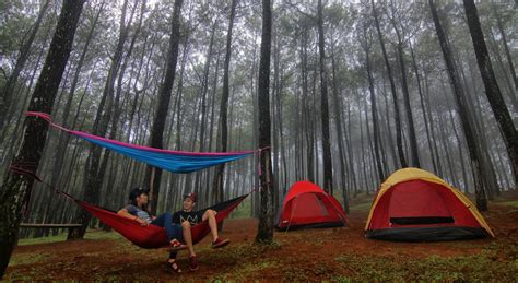 Puncak Becici Keindahan Wisata Alam Hutan Pinus Jogja Tour Wisata