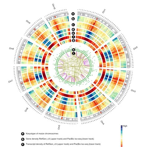 Pacbio全长转录组 北京博云华康基因科技有限公司