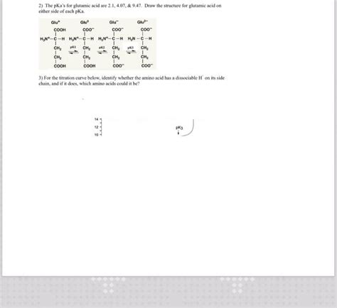 Solved Biochemestry Q And Answer Key Can Someone Tell Me Chegg Com
