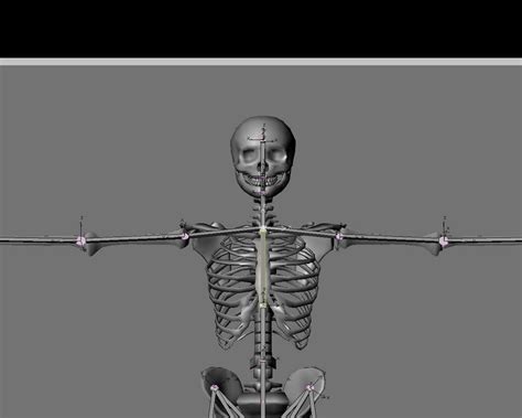Armature Bone Segment Problem Animation And Rigging Blender