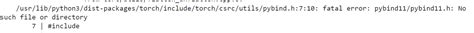 Bug Runtimeerror Error Building Extension Utils `ninja` Related