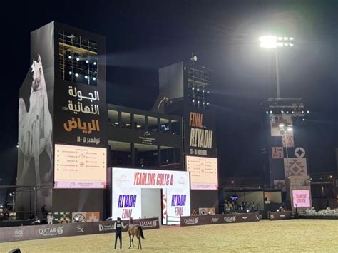 Mohammed Shaheen On Linkedin Gcat