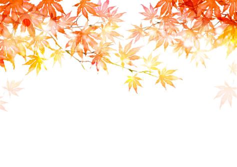 紅葉 イラスト イラスト素材 Istock
