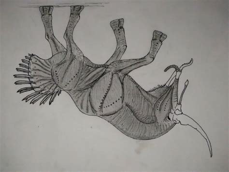 Unicorn By Poo Stinker On Deviantart