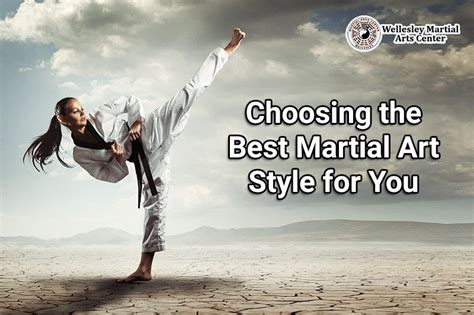 Choosing The Best Martial Art Style For You Bettermindbody
