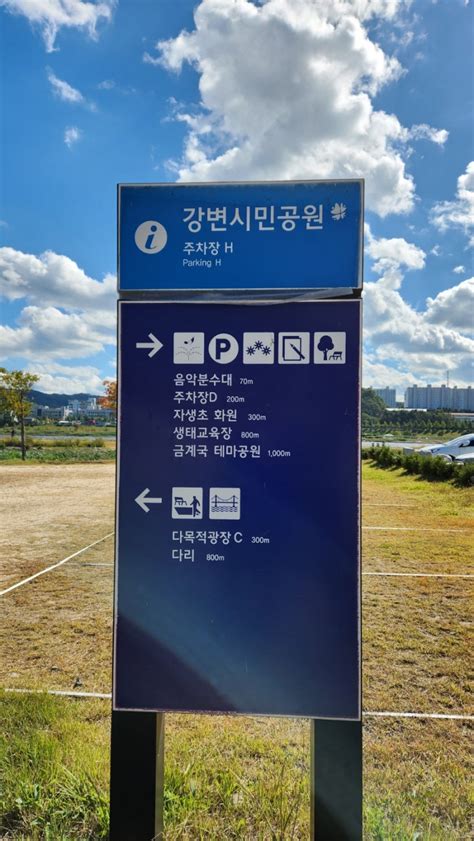 안동 그라스원 핑크뮬리 안동 핑크뮬리 명소 여행 Feat 주차and개화시기 네이버 블로그