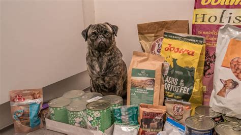 How Much Dog Food Cost