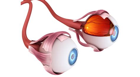 Epiretinal Membrane Which Clinic In Turkey