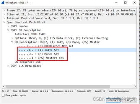 ospf路由原理——邻居建立过程抓包演示 如何抓取ospf报文 csdn博客