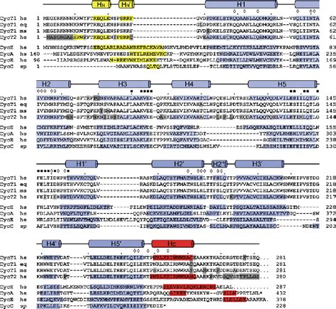 Figure 2 From Cyclin Box Structure Of The P Tefb Subunit Cyclin T1