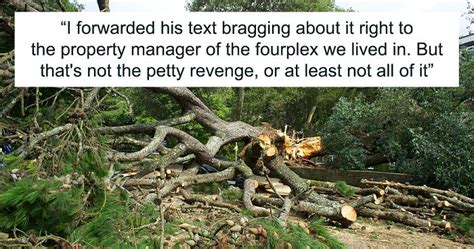 After A Break Up Ex Babefriend Cut Down Their Tree So This Woman Forwarded His Text Bragging