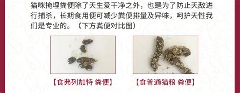 麦富迪弗列加特冻干猫粮全价主食猫条成幼猫佛列加特猫咪零食罐头 阿里巴巴