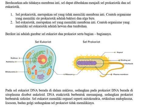 Gambarlah Sel Prokariotik Dan Sel Eukariotik Lengk