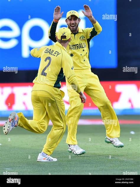 Australias Glenn Maxwell Back And Captain George Bailey Celebrate