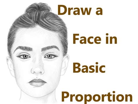 Female Nose Drawing Front View