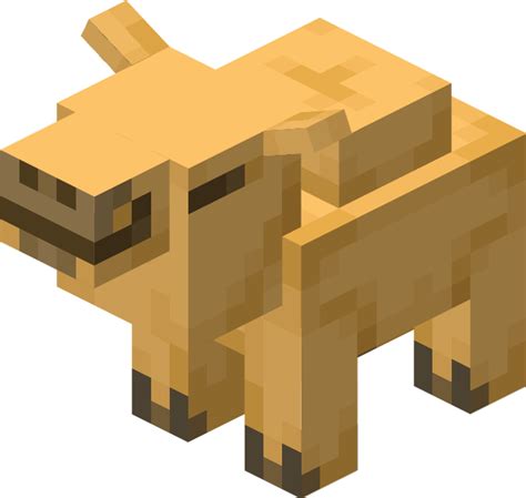 足迹与故事活动 Minecraft Wiki，最详细的我的世界百科