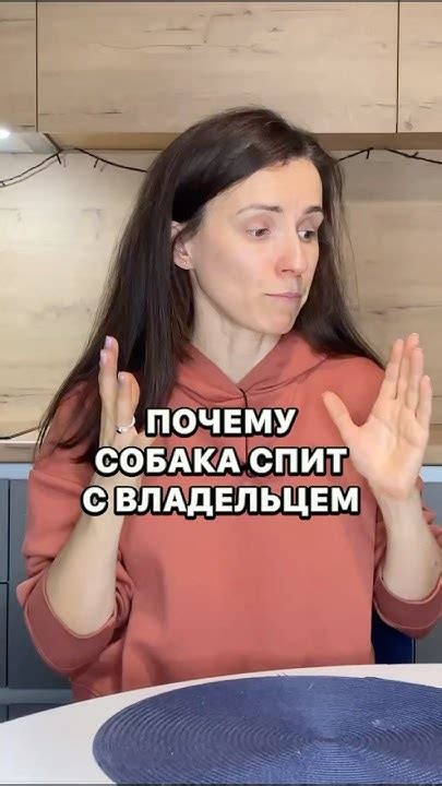 Почему собака спит с владельцем ветеринар животные собака собаки Youtube