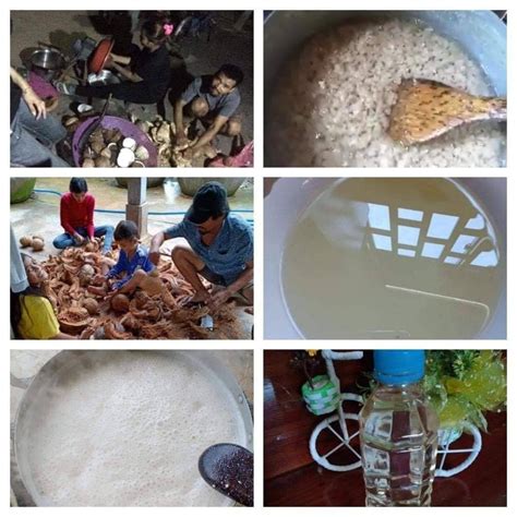 ប្រេងដូង ធម្មជាតិ១០០