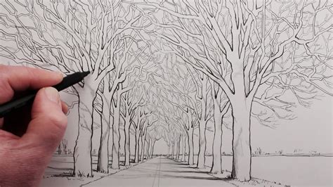 🌲 איך מציירים שדרת עצים 🌲 Drawing