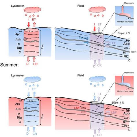 A Wavelet Spectrum Of The Precipitation And The Wavelet Coherence Download Scientific Diagram