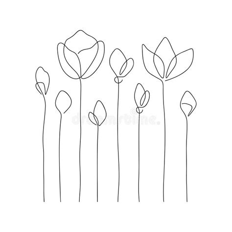 Black And White Graphic Contour Illustration Of Different Colors On A