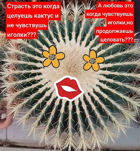 Страсть и любовь чем отличаются психологияздоровья страсть любовь