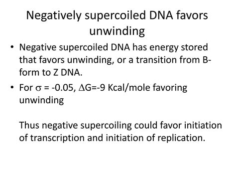 Dna Rna Basic Structure And Components Ppt