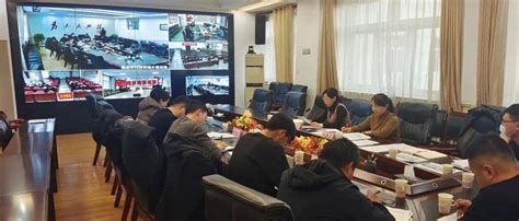 吴忠市召开自然灾害综合风险普查房屋建筑和市政设施调查工作视频调度会数据调查普查