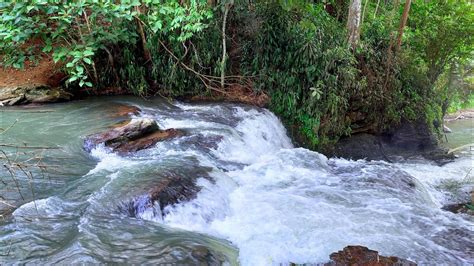 Powerful Forest River Cascading Over Rocks Natures Sounds Therapy For Anxiety And Sleep Youtube