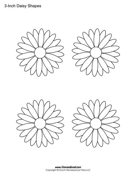 Daisy Flower Outline Template Best Flower Site