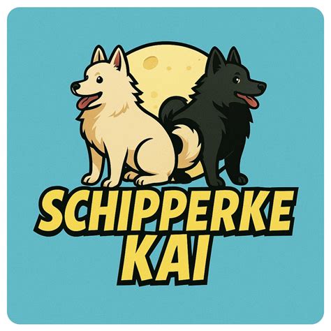 Schipperke Schipperke Clipart Different Poses Coat Colors Set
