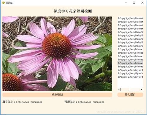 深度学习花朵识别系统的设计与实现花卉识别项目 Csdn博客
