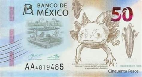 Para héroes de la nación el ajolote sobre el nuevo billete de 50 pesos