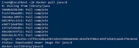 Docker 常用基础 镜像命令 CharyGao 博客园