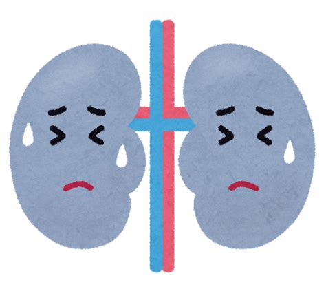 慢性腎臓病腎機能の指標のとして Egfr が重要です