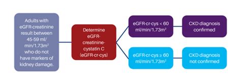 Egfr By Creatinine And Cystatin C Egfr Cr Cys Clinical Pathology